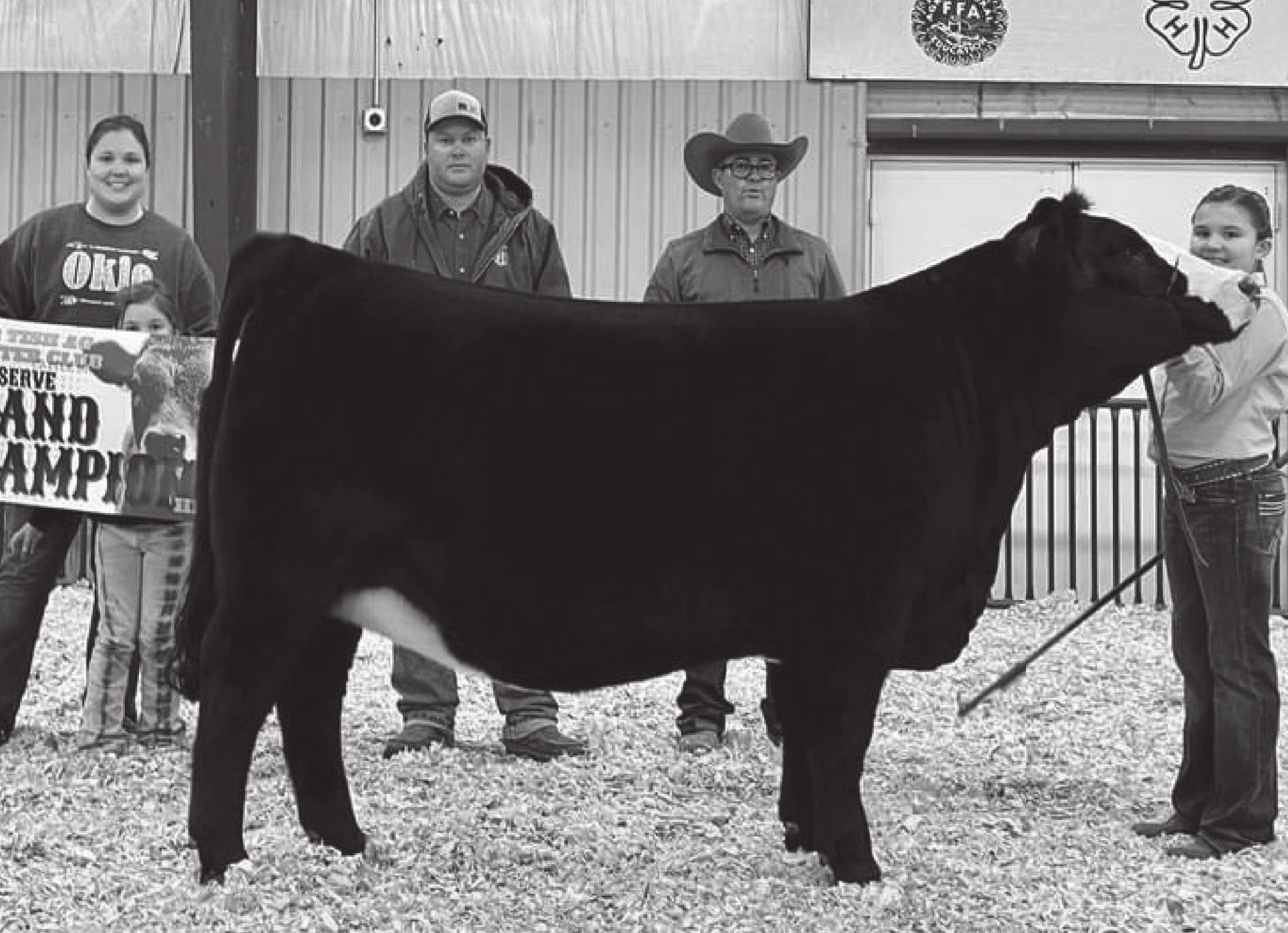 Local girls compete in the Tishomingo Cattle Show | Madill Record