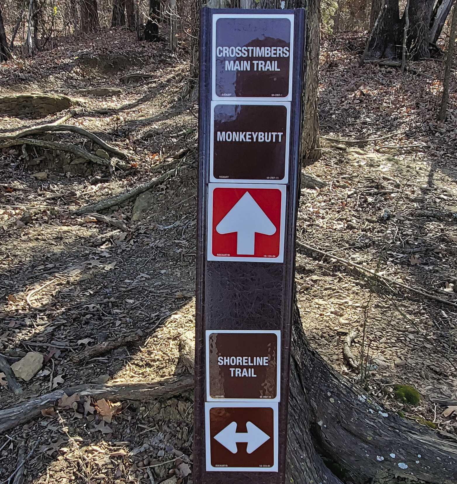 Cross Timbers Hiking Trail | Madill Record